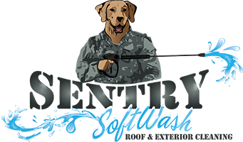 FLOWTECHSYS – Clean Starts Here